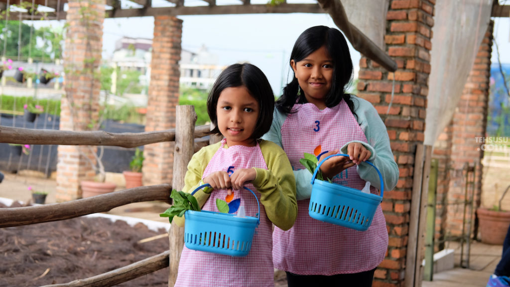 Lactasari Mini Farm, PVJ - Bandung - Life and Travel Journal