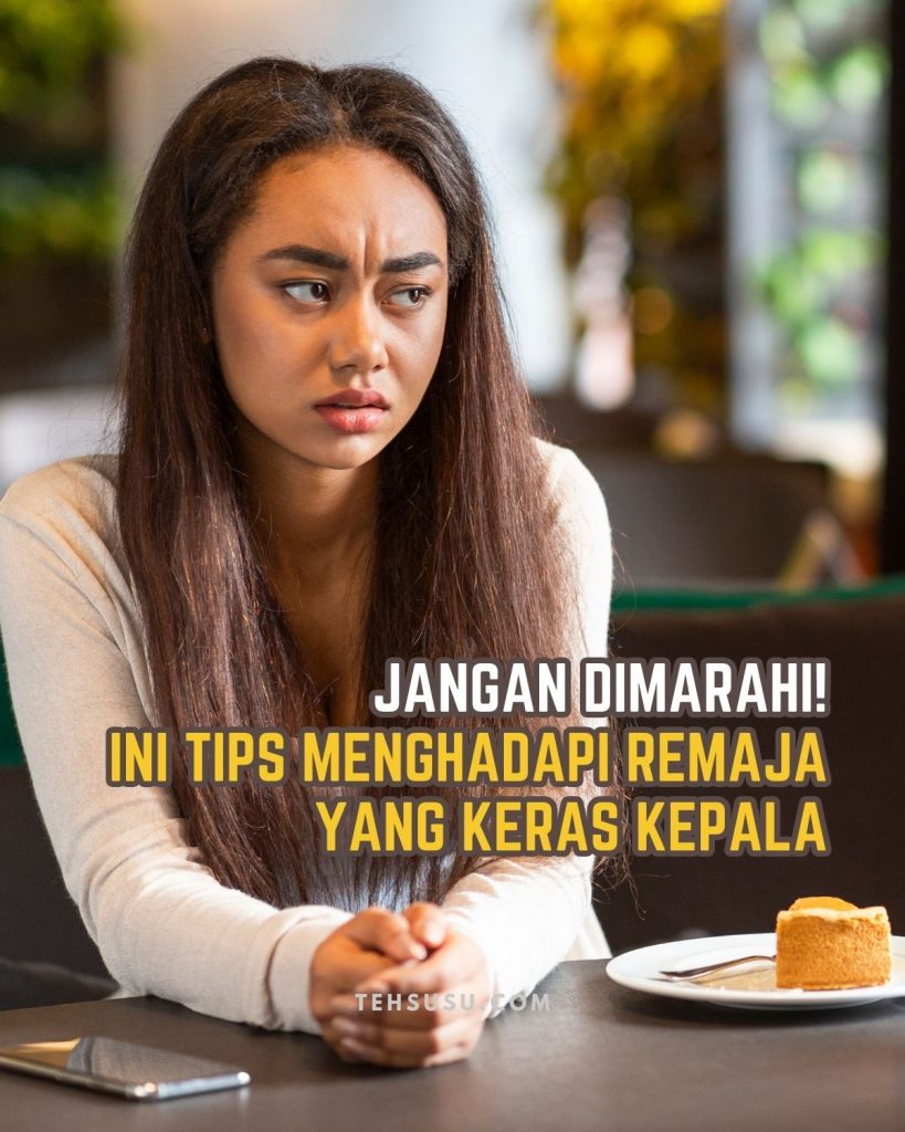 Jangan Dimarahi! Ini Tips Menghadapi Remaja Yang Keras Kepala