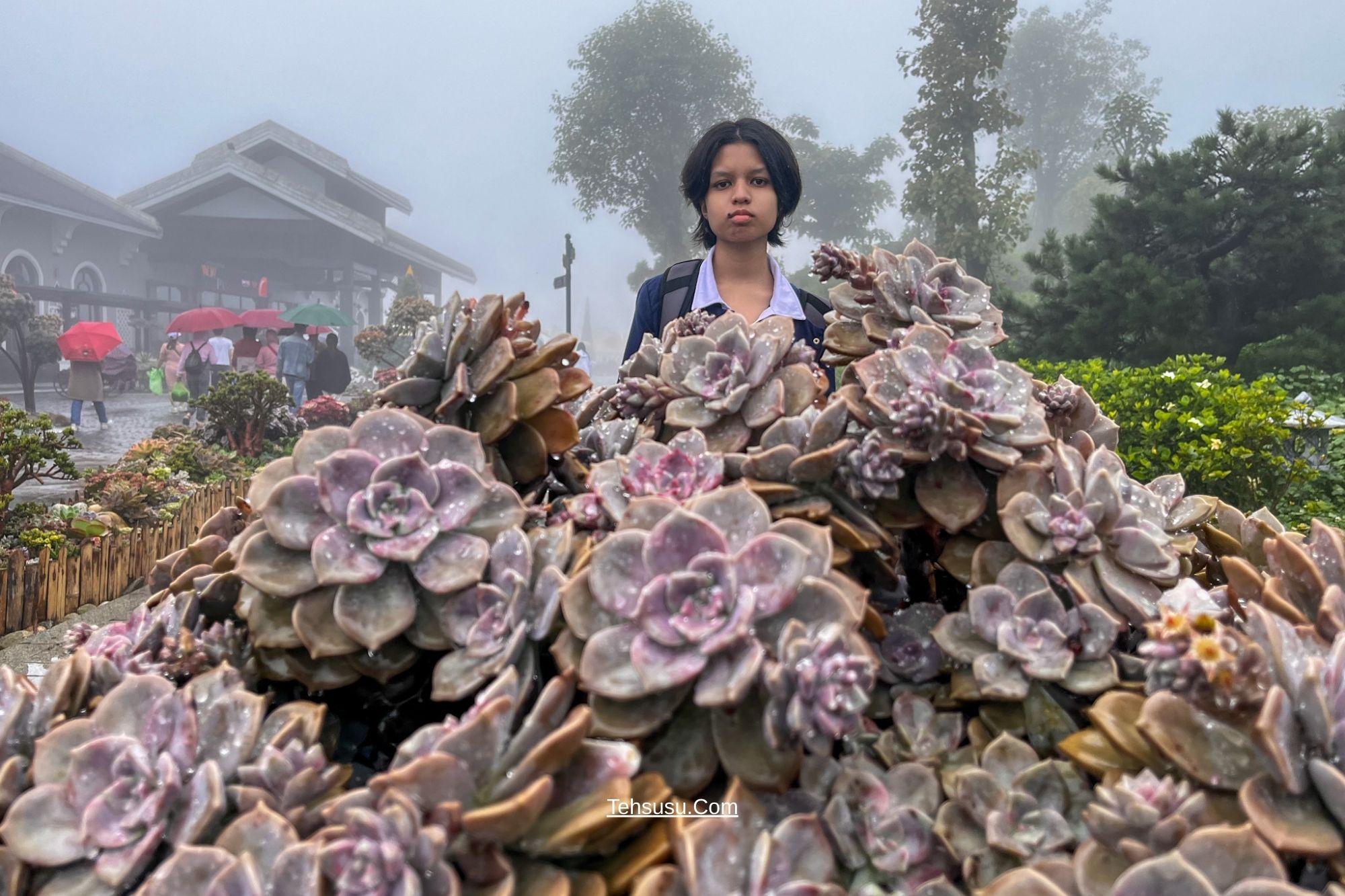Vietnam Trip: Gunung Fansipan, Atap Indochina